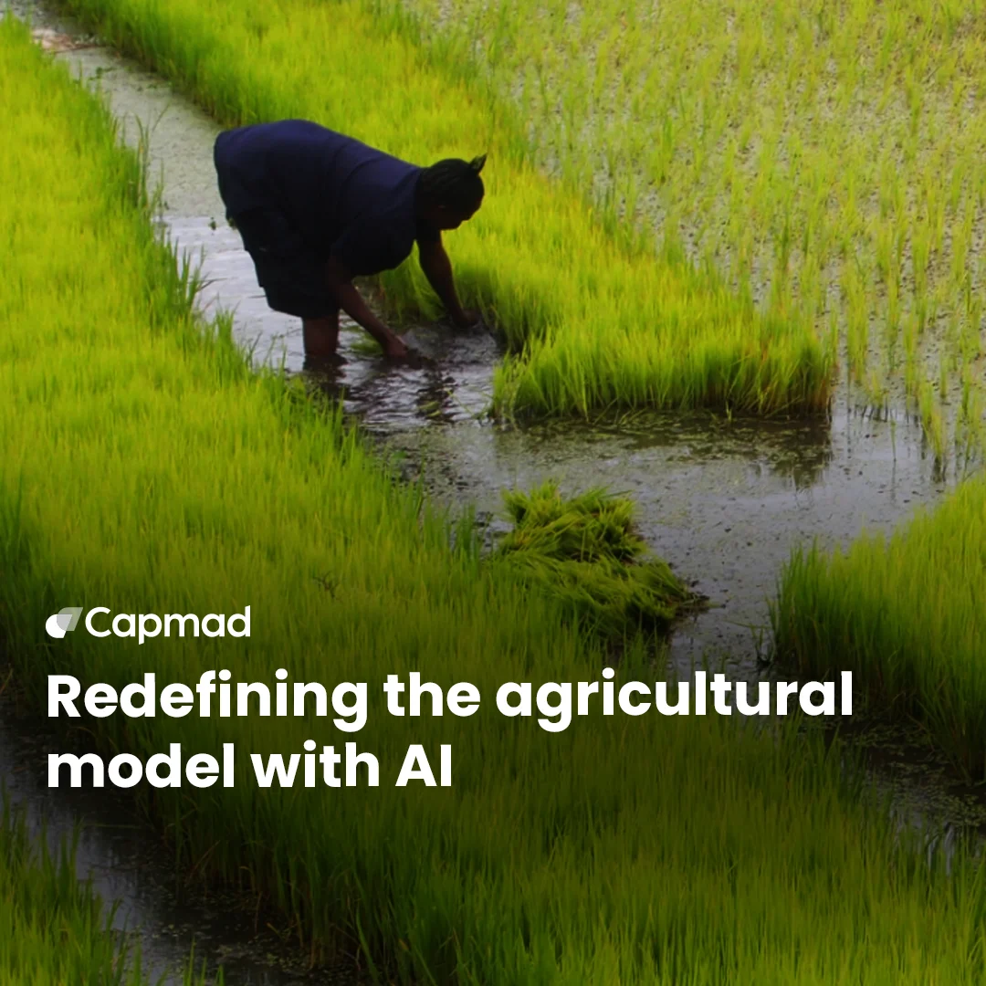 Redefining the agricultural model with AI
