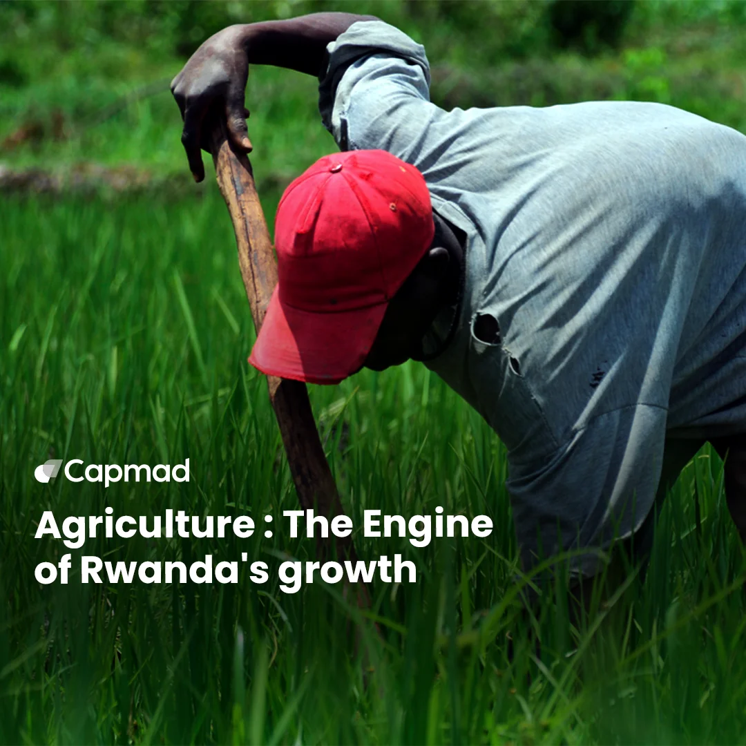 Agriculture : The Engine of Rwanda's growth