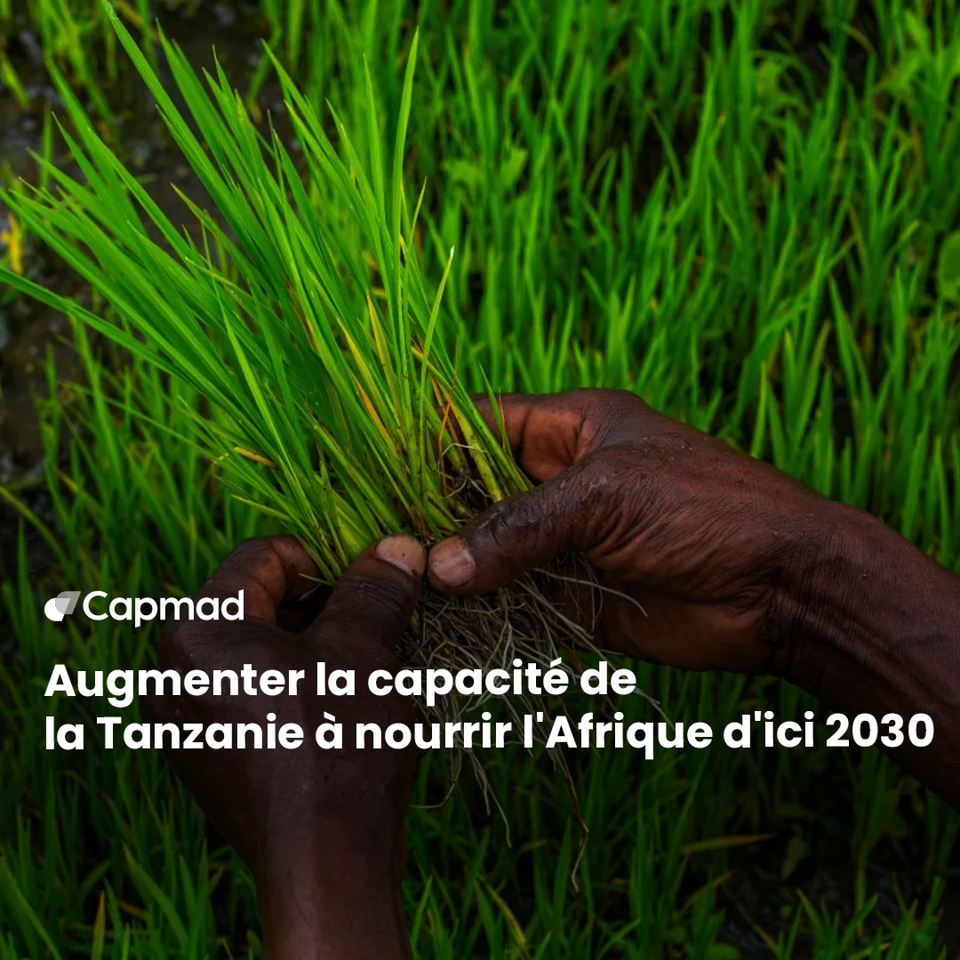Augmenter la capacité de la Tanzanie à nourrir l'Afrique d'ici 2030