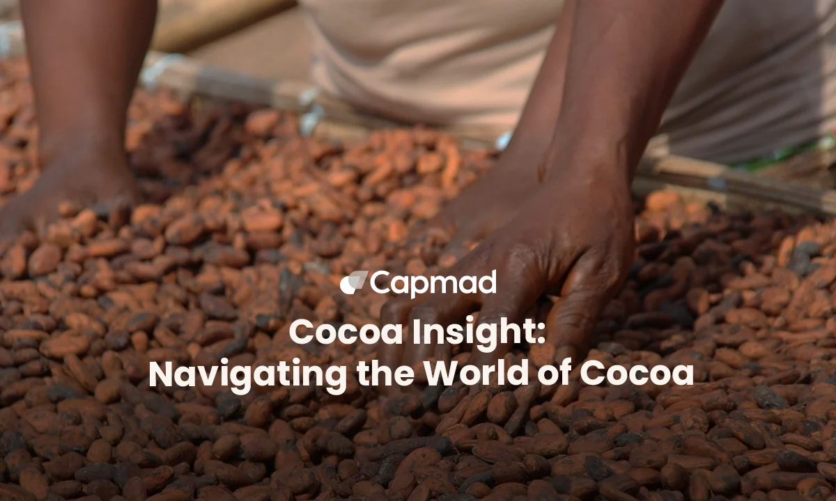 Visualizer - Cocoa Insight: Navigating the World of Cocoa | Capmad.com