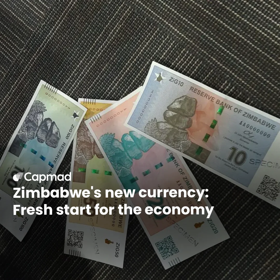 Zimbabwe's new currency : Fresh start for the economy