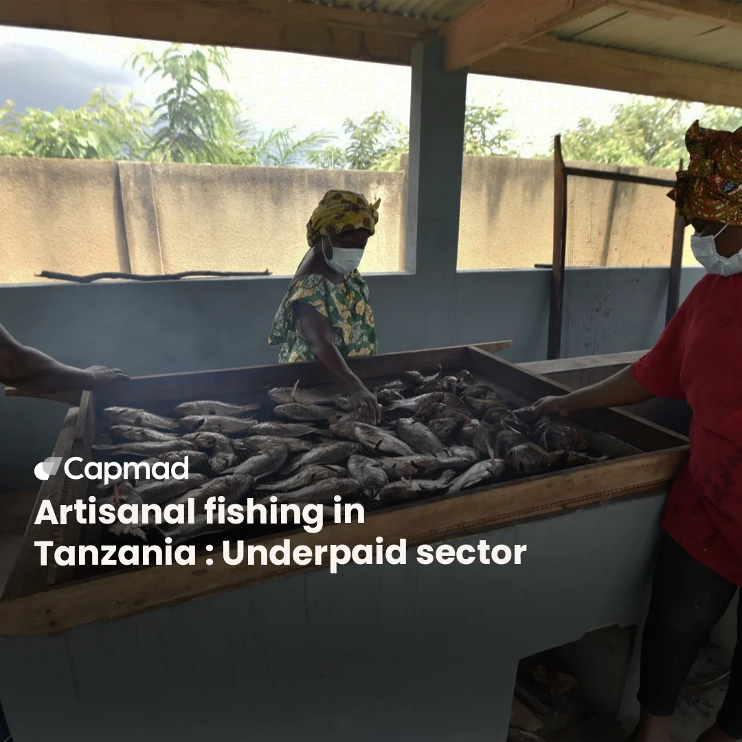 Artisanal fishing in Tanzania : Underpaid sector