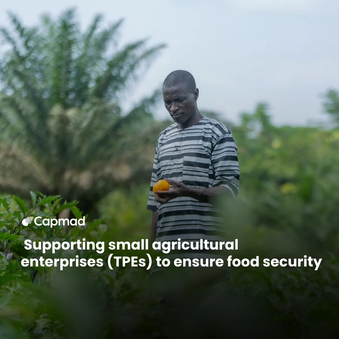 Supporting small agricultural enterprises (TPEs) to ensure food security