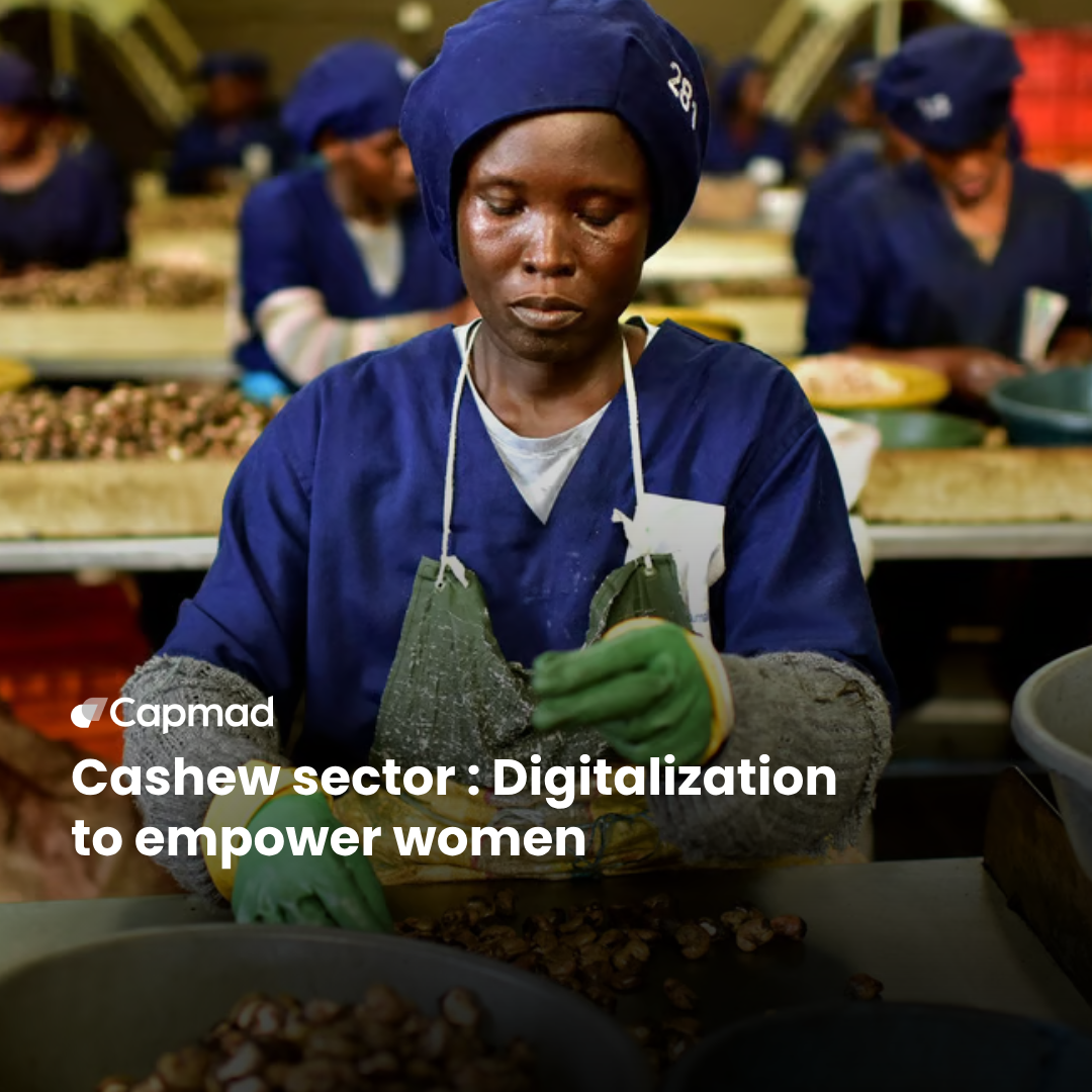 Cashew sector : Digitalization to empower women