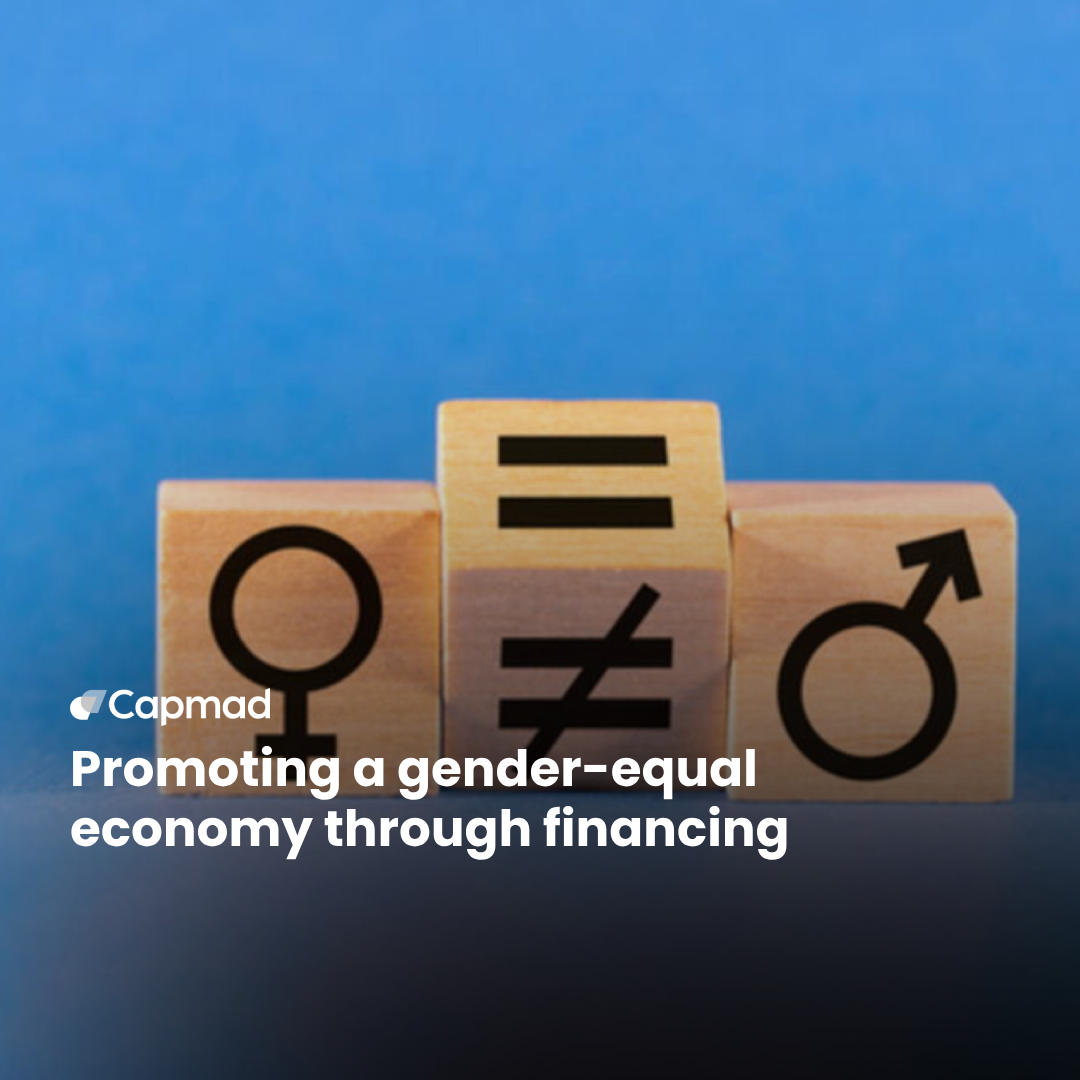 Promoting a gender-equal economy through financing