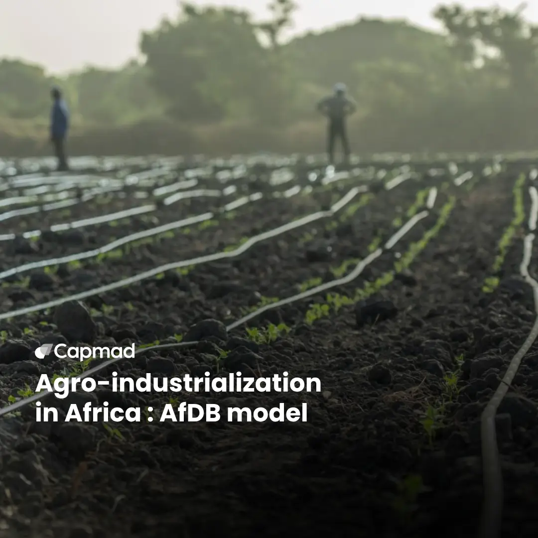 Agro-industrialization in Africa : AfDB model