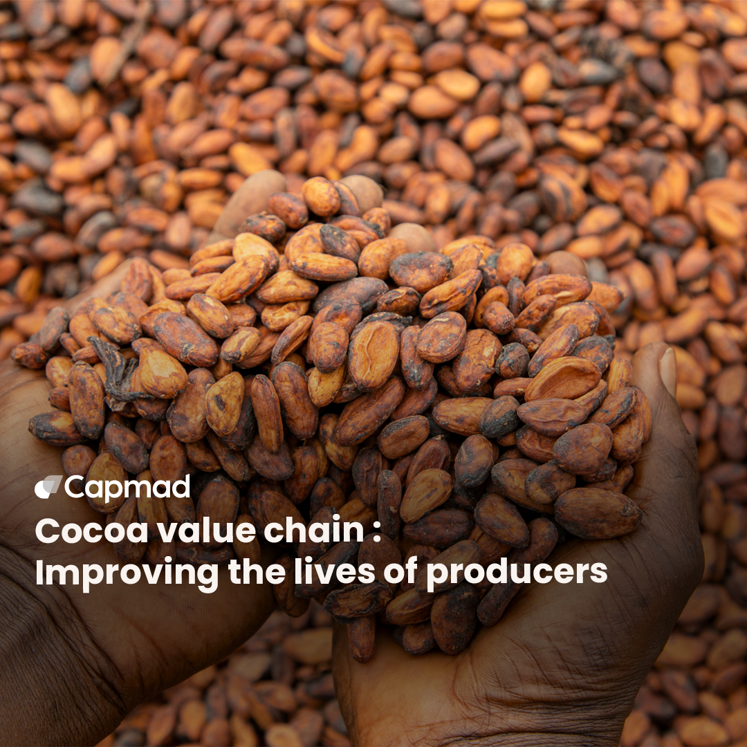 Cocoa value chain : Improving the lives of producers