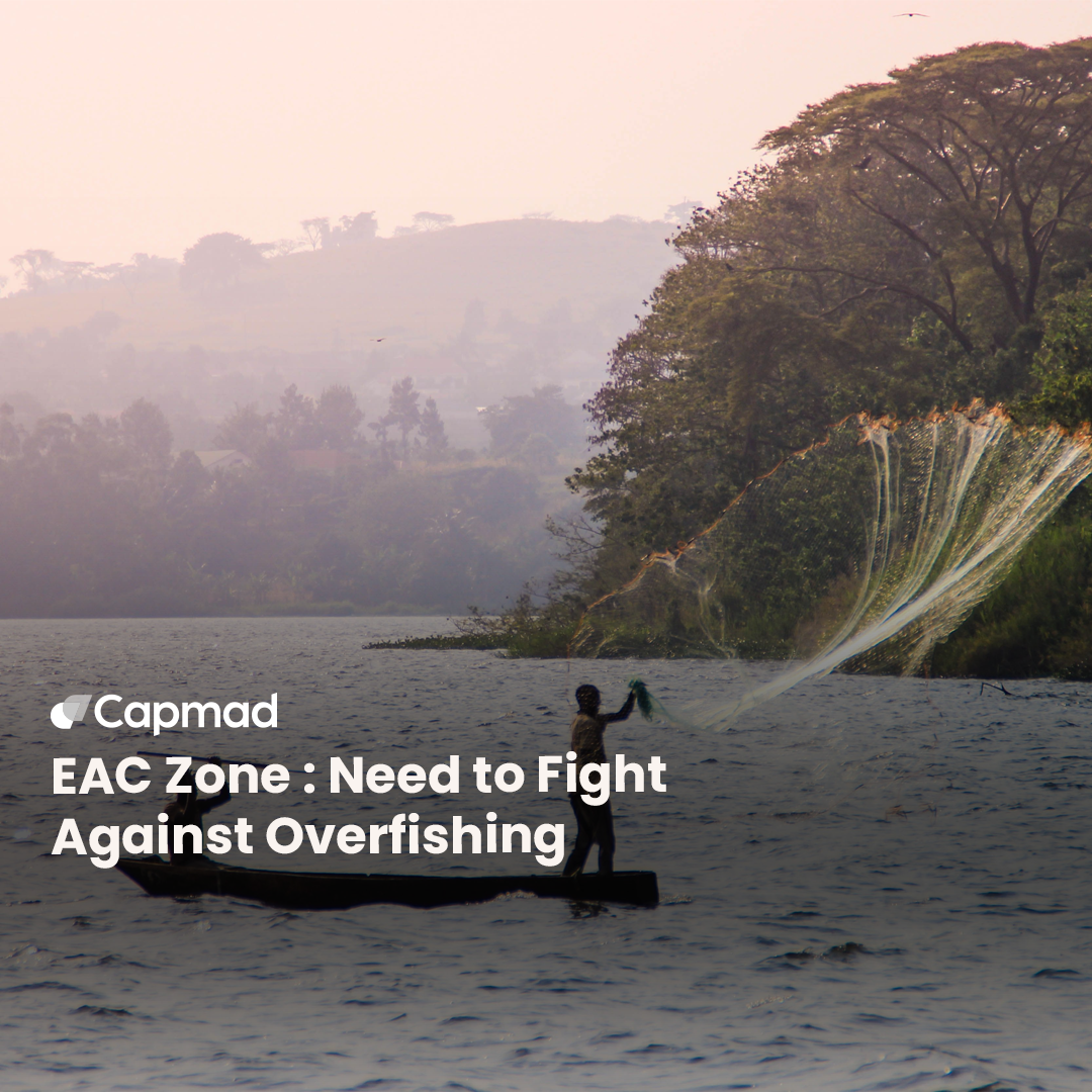 EAC Zone : Need to Fight Against Overfishing