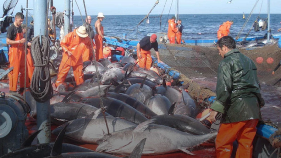 Fishing Cooperation Agreement between Madagascar and PFOI