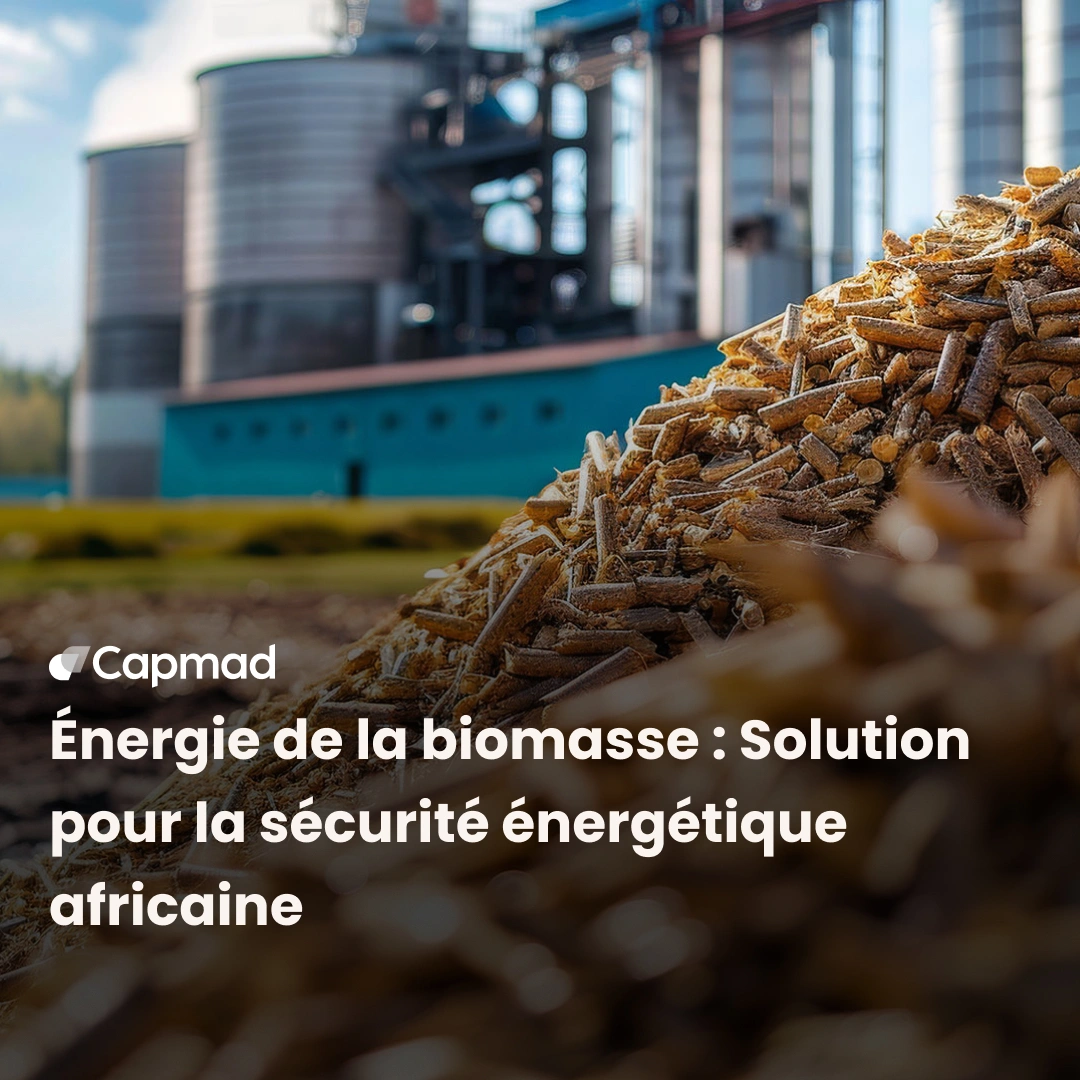 Énergie de la biomasse : Solution pour la sécurité énergétique africaine
